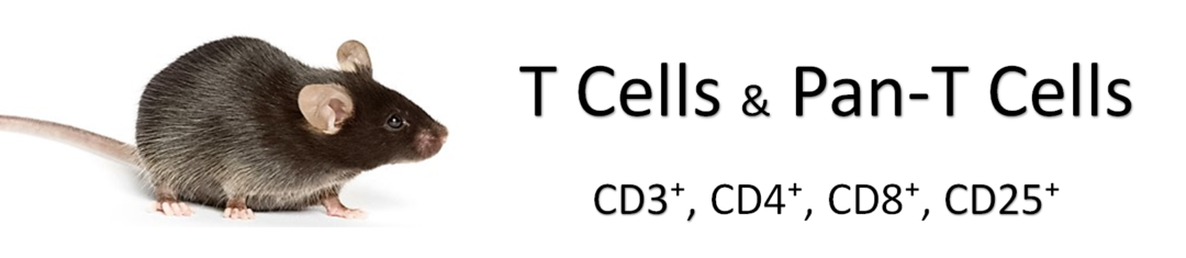 T Cells and Pan-T Cells - C&M Lab Pro